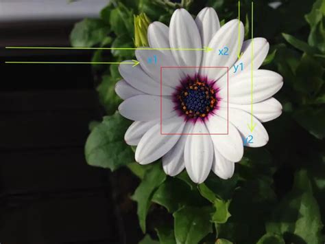 Image Manipulation With Python PIL Learn Python With HolyPython