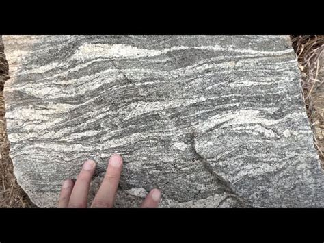 Migmatite Rock