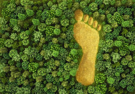 New Pbs Documentary Explores Humanitys Footprint On Nature