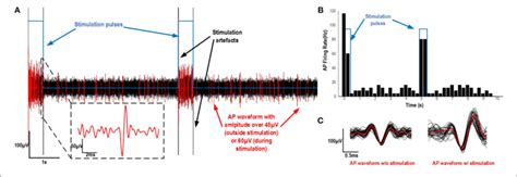 A Recorded Signal From One Electrode Of The Optrode Implanted In Download Scientific