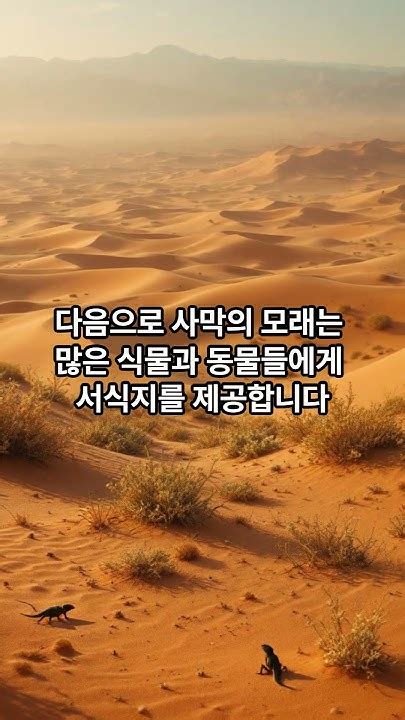만약 사막의모래를 전부 걷어내면 생기는 현상 Youtube