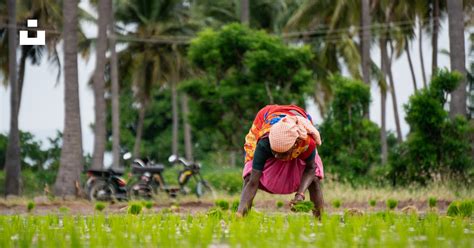 빨간 재킷과 검은 바지를 입은 사람이 갈색 가방을 들고 푸른 잔디밭을 걷고 있다 사진 Unsplash의 무료 팔라코드 이미지