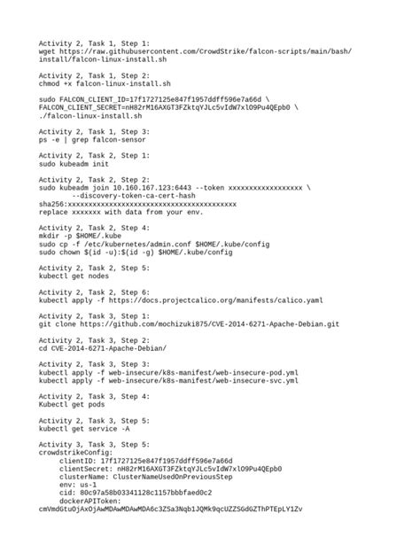 Crowdstrike Cnapp 3d Lab Commands V12 Pdf Computer File Formats