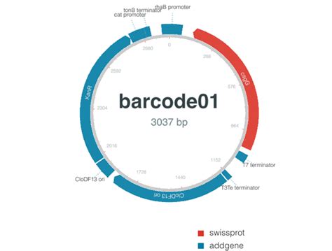 Plasmid Dna Extraction Method Oxford Nanopore Technologies