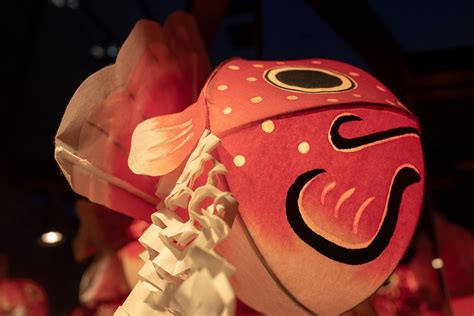 Apt Get Install Gfortran Buyerlasopa