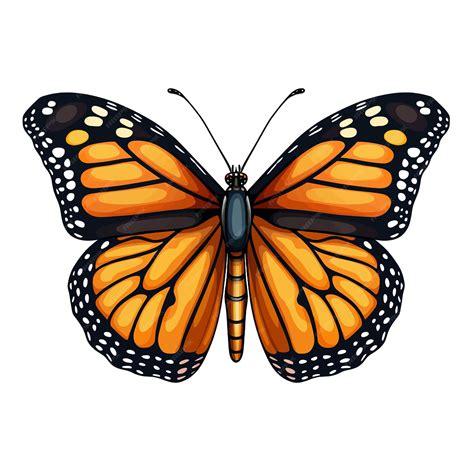 Premium Vector Hand Drawn Monarch Butterfly Cartoon Vector
