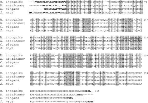 Multiple Sequence Alignment Of The Predicted Mi Crt Protein With Other