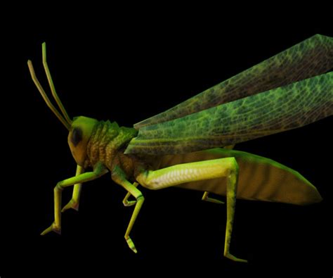 Artstation Grasshopper Animated 3d Model Resources