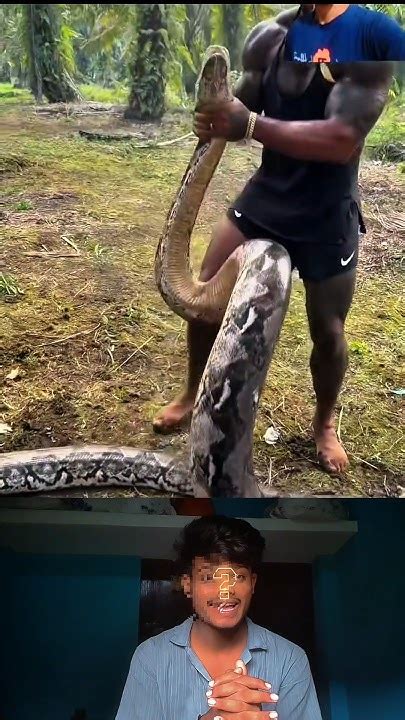 He Tried To Fight A Giant Python What Happened Next Will Shock You