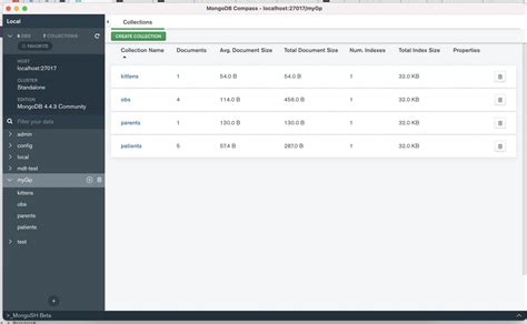 How To Setup Mongodb Mongo Shell And Compass Gui Locally