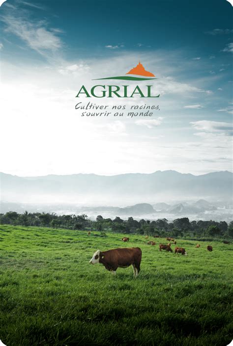 Agrial • Agence Ux And Ui Expert En Design Dinterfaces Digitales