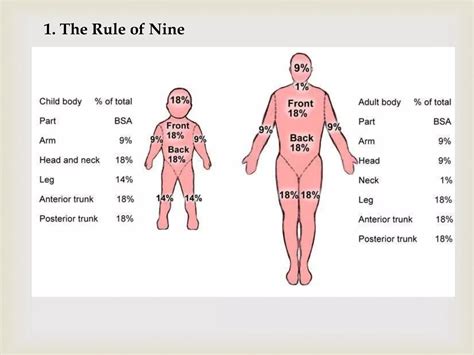 Burn Wound Assessment By Priya Malik Mpharm Pptx First Aid