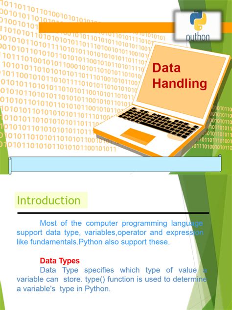 chapter 3 data handling pdf data type integer computer science