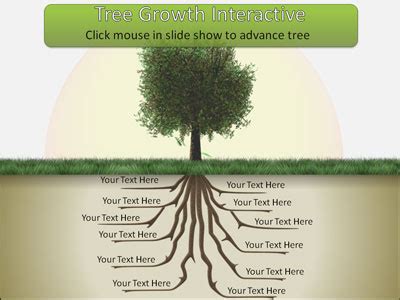 Tree Roots Growing Deeper