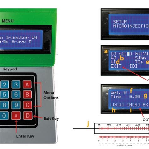 Final Steps For Assembly Of The Microinjector Download Scientific Diagram
