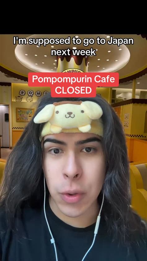Mercy Pompompurin Skin