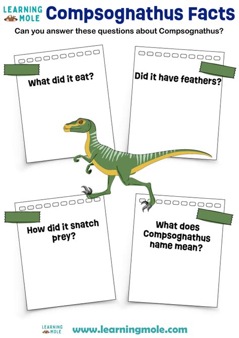 Compsognathus Learningmole