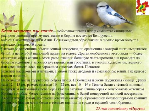 Животные и растения которые занесены в Красную книгу Кировской области