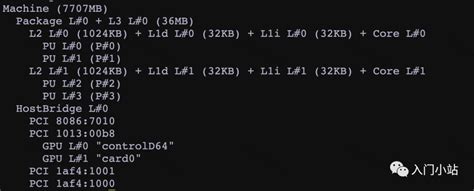 如何在linux系统中查看cpu信息使用lscpu命令行 linux命令大全 手册