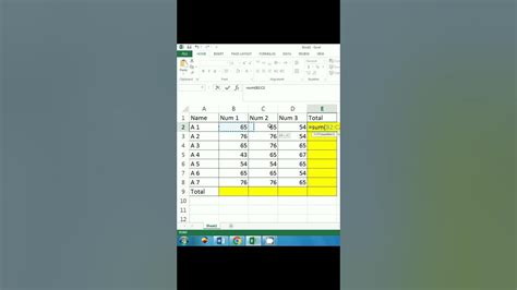 Excel How To Sum All Values At A Time Lunar Computer College Youtube