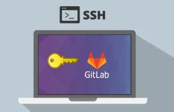 Gitlab Https Ssh Access