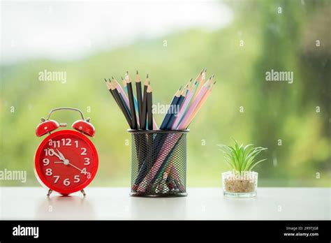 Object Education Green Nature Background With Stack Of Ancient Books Or Old Bible Open Paper