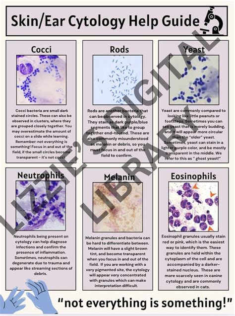 Veterinary Reference Poster Skin Ear Cytology Help Guide Digital