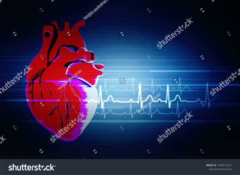 3d Illustration Anatomy Human Heart Stock Illustration 1465616531 Shutterstock