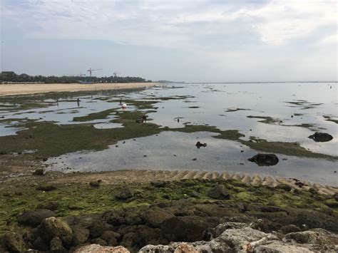 발리여행 5일차 Ubud 으로 이동 즐거운 인생 여행 호주 It 금융