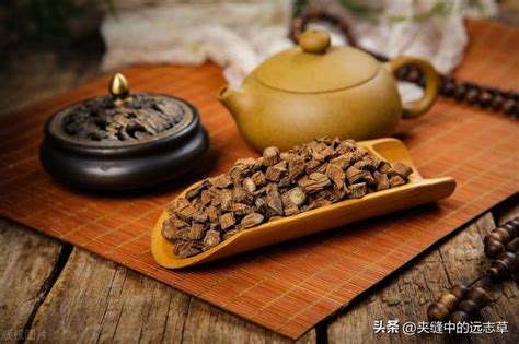 腰痛久治不愈送你十味中藥肝腎同治陰陽雙補好用不貴 伊人小築