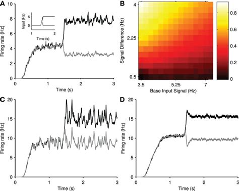 Steady State Selection In The Randomly Connected Striatum Model A Download Scientific