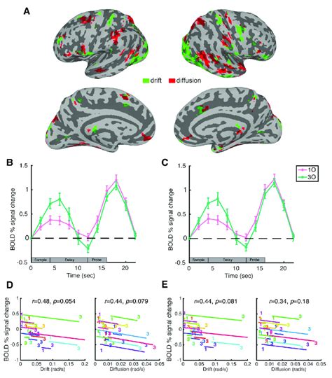 whole brain regression analysis with drift and diffusion and roi based