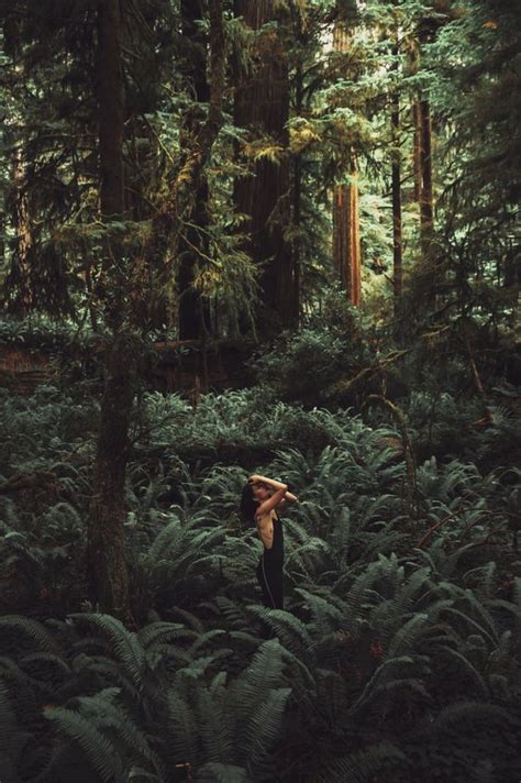 Photo Shoot Nature Nature Photoshoot Ideas Forests