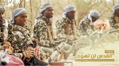 9 11 Attacks Whats Happened To Al Qaeda Bbc News