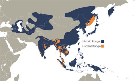 White Tiger Habitat Map White Tiger Habitat Map