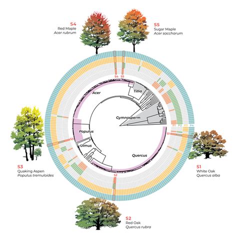 data visualization visualizing science