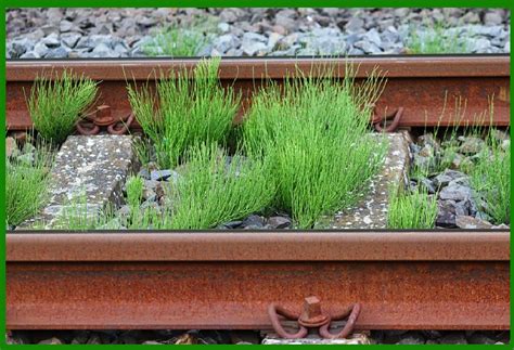 Ean 128 Barcode Current Situation And Future Development