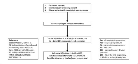 Simplified Esophageal Balloon Manometry Algorithm Adopted From Medstar