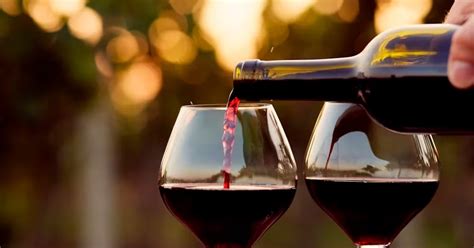 Lambrusco El Vino Perfecto Para Brindar En Navidad Infobae