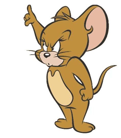 Tom Jerr  Tom Jerr Jerry S Entdecken Und Teilen S  Toms