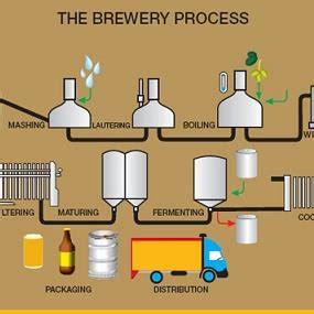 The Stages Of Brewing Eight Degrees Brewing STAGE SEVEN Download Scientific