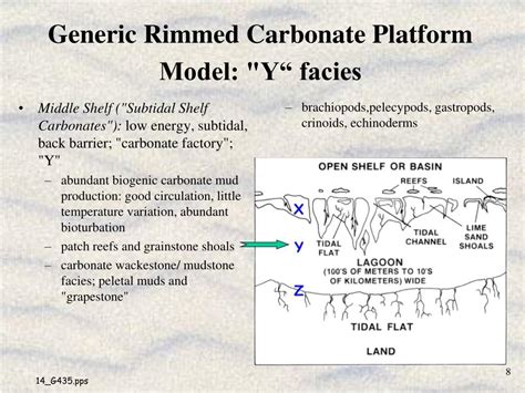 Ppt Shallow Marine Carbonate Environments Powerpoint Presentation