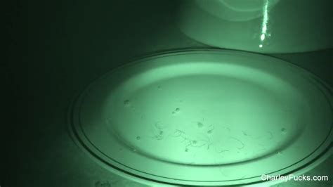 Night Vision Fucking With Super Hot Charley Chase Xhamster