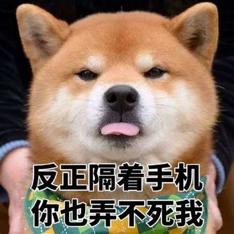 查重时引用的部分会被标红吗？避免学术不端的秘诀 知网论文查重