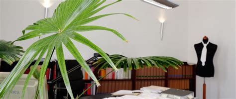 Rechtsanwalt Ritter Rechtsanwalt Kai Uwe Ritter