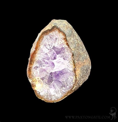 Cut And Polished Amethyst Geode Slices Paxton Gate
