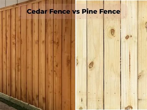 Pressure Treated Vs Cedar Fence Wood Fence And Gates Beachyard Fence