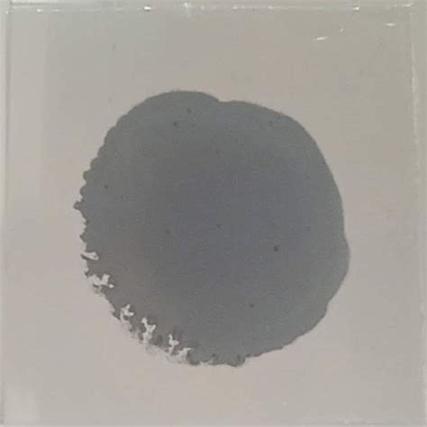 Preprocessing Of Image Background Editing Image Analysis Image Sc Forum