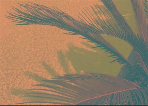 你就是夏天最亮的仔 搜狐大视野 搜狐新闻