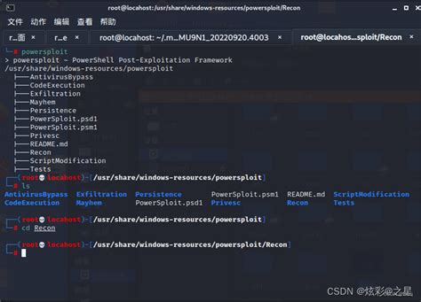 内网渗透 内网信息收集 Csdn博客